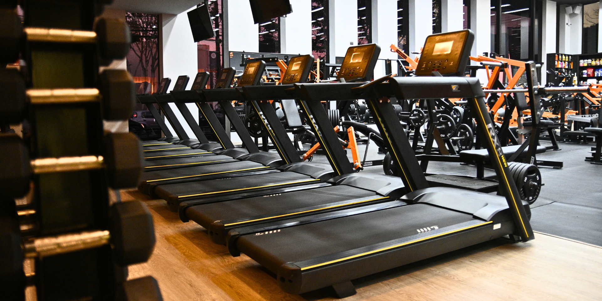 Seven7Play – Academia